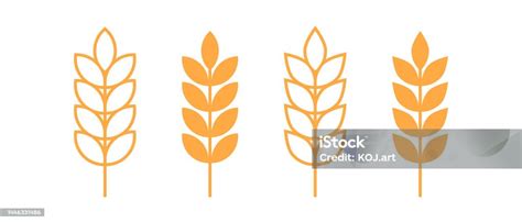 밀 귀 벡터 아이콘 세트입니다 농업 개요 및 채워진 기호 곡물 곡물 그림 가을에 대한 스톡 벡터 아트 및 기타 이미지 가을 건강한 식생활 검은색 Istock