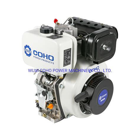 13hp Single Cylinder China Small Diesel Engine Power Engine And