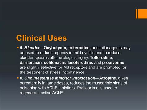Cholinoceptor Blockers Pptx
