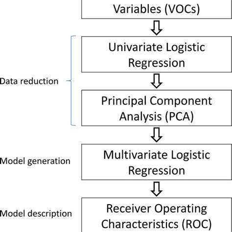 Flow Chart Summarising The Statistical Approach Adopted For Variable Download Scientific