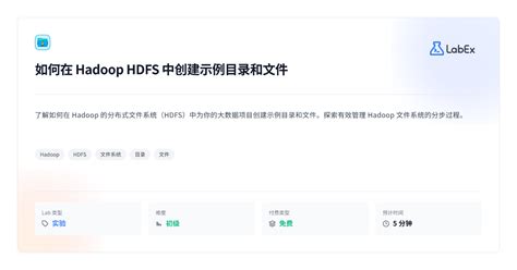 如何在 Hadoop Hdfs 中创建示例目录和文件 Labex