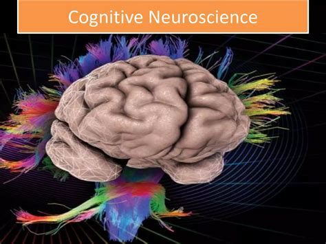 Schools Of Psychology Brief Description Of Behaviorism Structuralism Functionalism Psycho