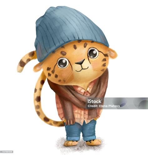 귀여운 아기 치타 아이들을위한 멋진 십대 만화 캐릭터 청바지 모자 스카프의 표범 흰색에 고립 된 손으로 그린 그림 귀여운에 대한 스톡 벡터 아트 및 기타 이미지 Istock