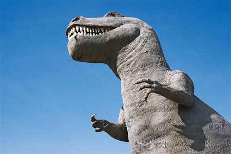 What We Can Learn From Dinosaur Sex Newsweek