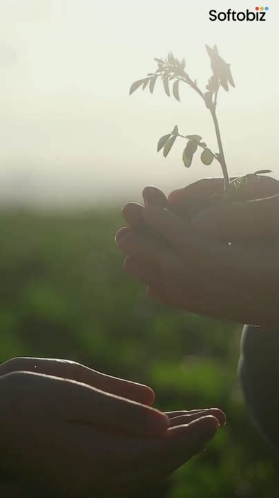 Prithivirajan M On Linkedin Pledge To Plant Trees