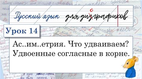 14 Удвоенные согласные в корне Youtube