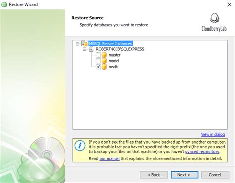 Sql Server Database Restore With Msp Backup