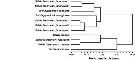 Phylogenetic Tree Of Unweighted Pair Group Method Using Arithmetic