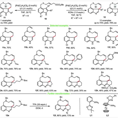 Scheme 6 Diversity Oriented Synthesis Of 34 Fused Tricyclic Indole Download Scientific