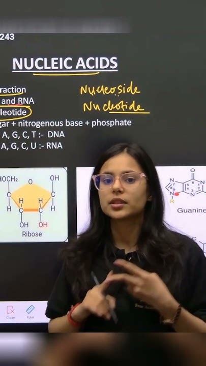 26 Unlocking The Secrets Nucleosides Vs Nucleotides Explained Freeacademy Biography Youtube
