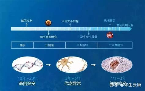 基因检测结果是高风险就一定会得这个病吗华生云康带你走进科学 知乎