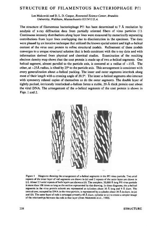 Pdf Structure Of Filamentous Bacteriophage Pf1 Dokumentips