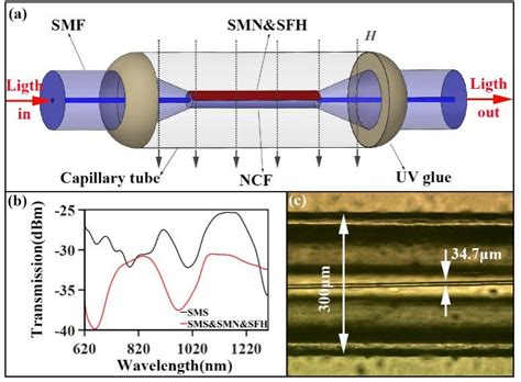 A Structure Of The Optical Fiber Sensor Of The Magnetic Field B