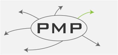 Functional Vs Projectized Vs Matrix Organizations For PMP Exam