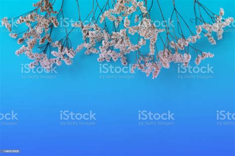 파란색에 작은 흰색 꽃의 빈티지 꽃다발 복사 공간이 있는 꽃무늬 배경입니다 바로크 양식의 구식 스타일 자연 패턴 벽지 또는 인사말 카드 0명에 대한 스톡 사진 및 기타