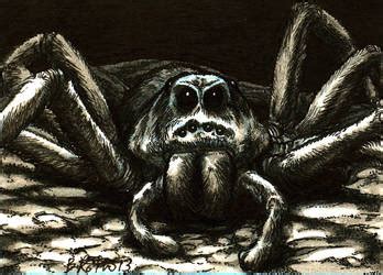 Explore The Best Aragog Art Deviantart