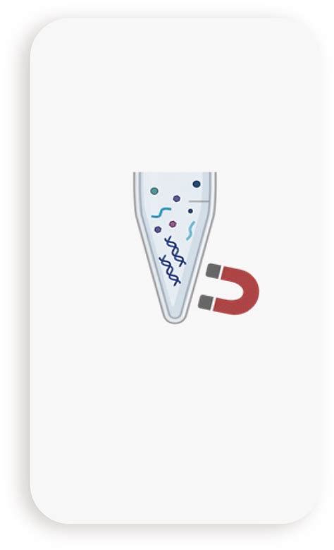 Cell Free Mrna Template Ivt Ready Dna In 3 Bds Genscript