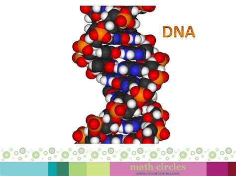 Ppt Eulerian Circuits Powerpoint Presentation Free Download Id2457297