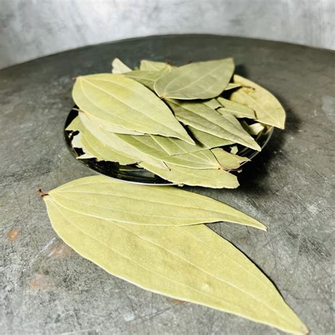 دریا سی تو فروش ماهی و میگو