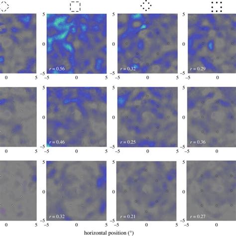 Neural Signature Of Visible Stimuli In Visual Cortex Brain Activity Download Scientific
