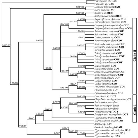 Bayesian Majority Rule Consensus Tree Support Values Bayesian