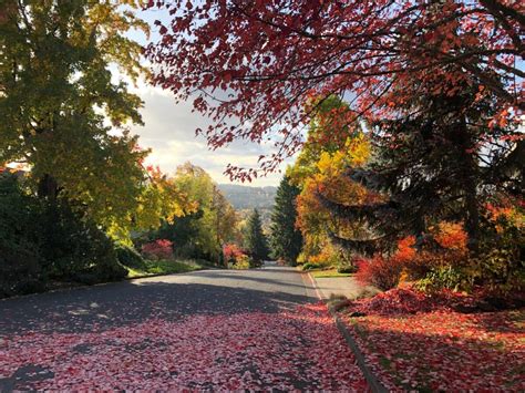 Eugene Neighborhood Guide Where To Live In 2024 Redfin