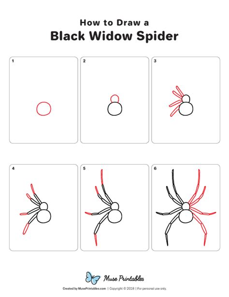 How To Draw A Spider Step By Step Shante Beatty