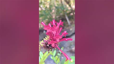 活力旺盛的你，就应该把野心写在脸上勇敢地正视自己的欲望，所以你要不停地努力不停地提升自己，才有资本去完成你心里所想之事。 Youtube