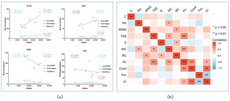 Physiological Response Of Four Widely Cultivated Sunflower Cultivars To Cadmium Stress