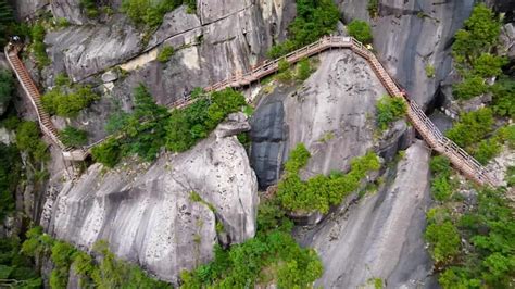 발길이 닿지 않은 숨은 명소 샤스타데이지와 금계국이 뒤덮은 비밀의 정원 여행을말하다