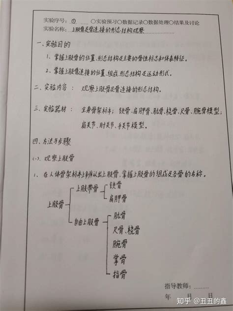 上肢骨及骨连接的形态结构观察实验报告 知乎