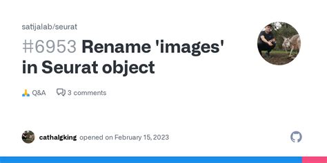 Rename Images In Seurat Object · Satijalab Seurat · Discussion 6953 · Github