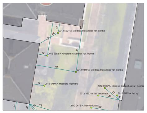 Distances In Feet From Tree Center Points To Building Polygons As Download Scientific Diagram