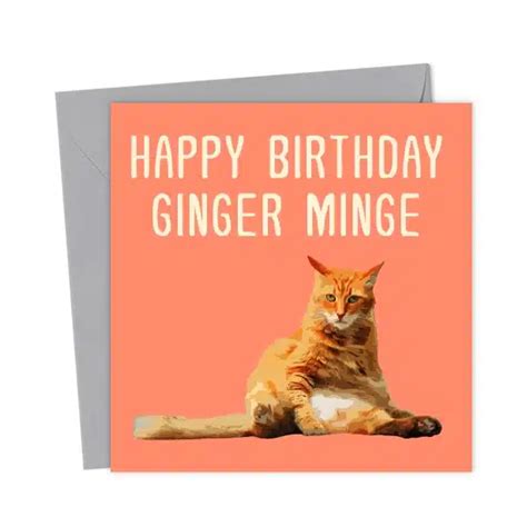 Happy Birthday Ginger Minge Ginger Cat You Said It