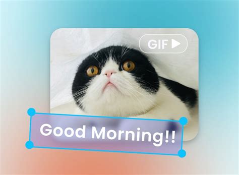 Online Free  Meme Maker No Watermark Make Your Own Meme Clipfly