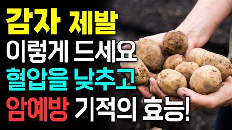 노년기 건강을 위해 꼭 이렇게 드세요 무릎통증 종아리쥐 다리쥐 사라지고 감자와 함께 먹으면 당뇨 암예방 치매 예방 최고의 궁합