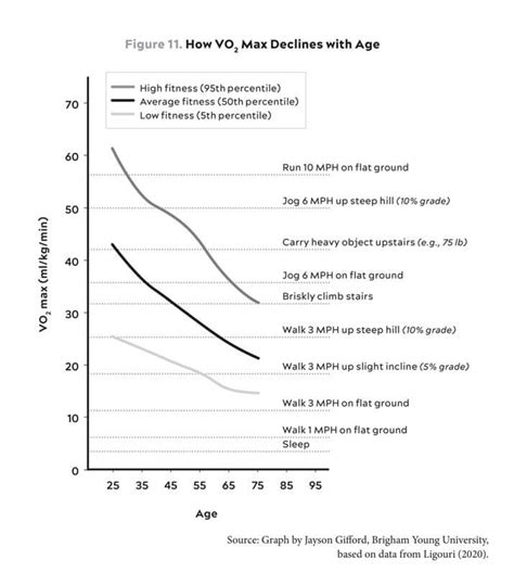 Why Dont You Lift Weights Page 33 In My Humble Opinion Straight