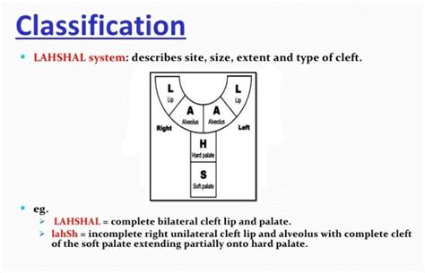 Lahsal Classification System For Cleft Lip And Palate 【 Note Capital Complete Small