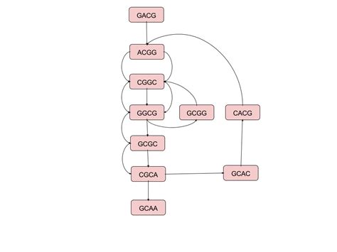 Euler Path Time Complexity Temporal Networks In Biology And Medicine