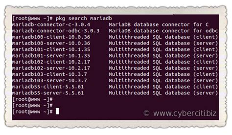 Install Mariadb Databases On A Freebsd 11 Unix Server Nixcraft