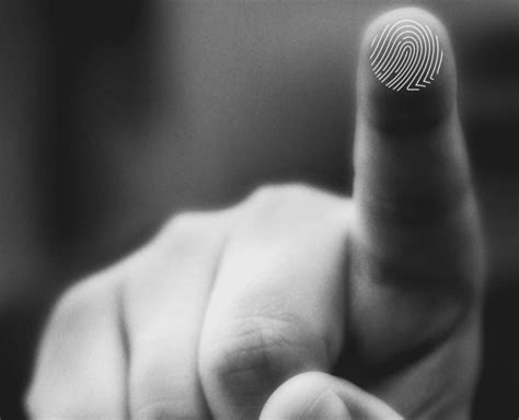 Freedom Security Privacy 5rights