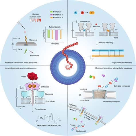 Nanopore Based Technologies Beyond Dna Sequencingnature Nanotechnology
