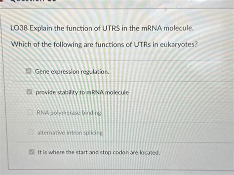 Solved Lo38 Explain The Function Of Utrs In The Mrna