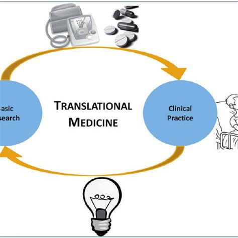 Knowledge Workflow In Translational Medicine Translational Medicine