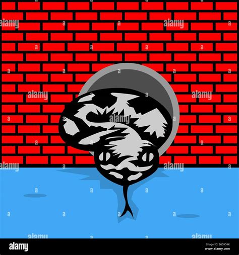 Python Comes Out Of The Water Pipe Vector Illustration On Brick Wall