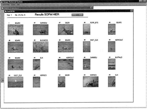 An Example Of Image Retrieval Via Similarity Search Mode The Top Left Download Scientific