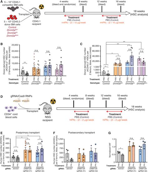 Txnip Enhances Fitness Of Dnmt3a Mutant Hematopoietic Stem Cells Via P21 Pmc