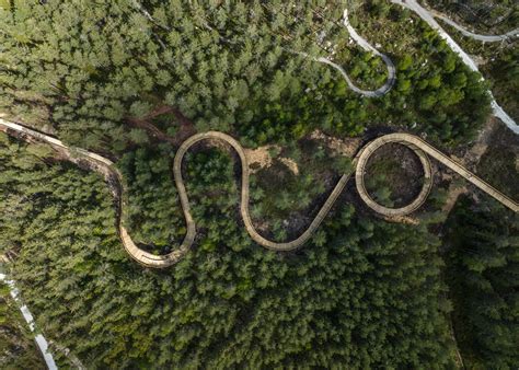 Treetop Walk Hamaren Activity Park By EFFEKT Parks