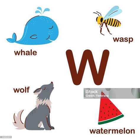 유치원 영어 알파벳 W 문자 수박 늑대 말벌 고래 화려한 스타일의 알파벳 디자인 어린이를 위한 교육 포스터입니다 놀고 배우세요 0명에 대한 스톡 벡터 아트 및 기타 이미지
