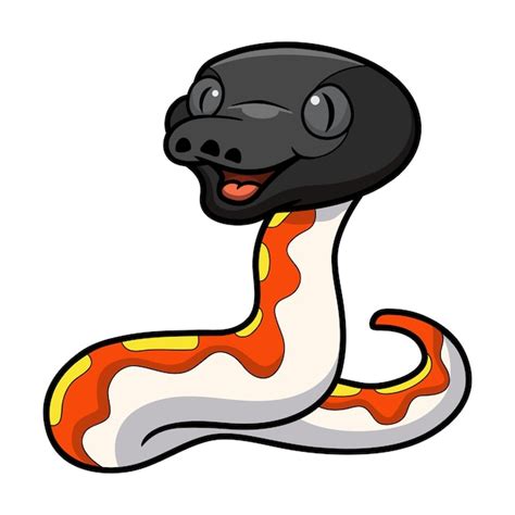 Premium Vector Cute Red Blood Python Cartoon